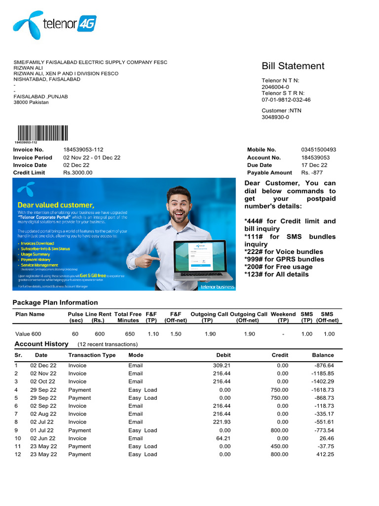 Telenor Bill Statement Summary | PDF | Invoice | Money