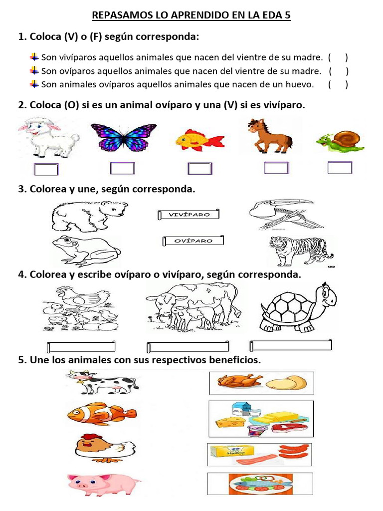 Ciencia Repaso 03-10-22 (Fely) | PDF
