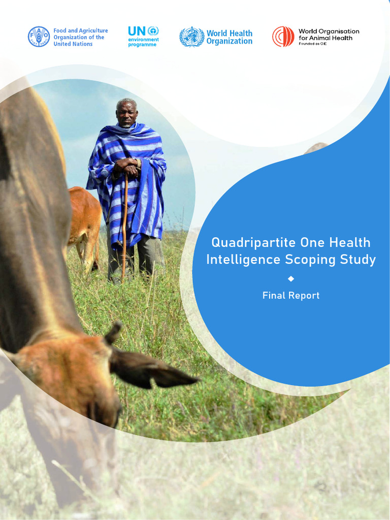 Quadripartite OH Scoping Study | PDF