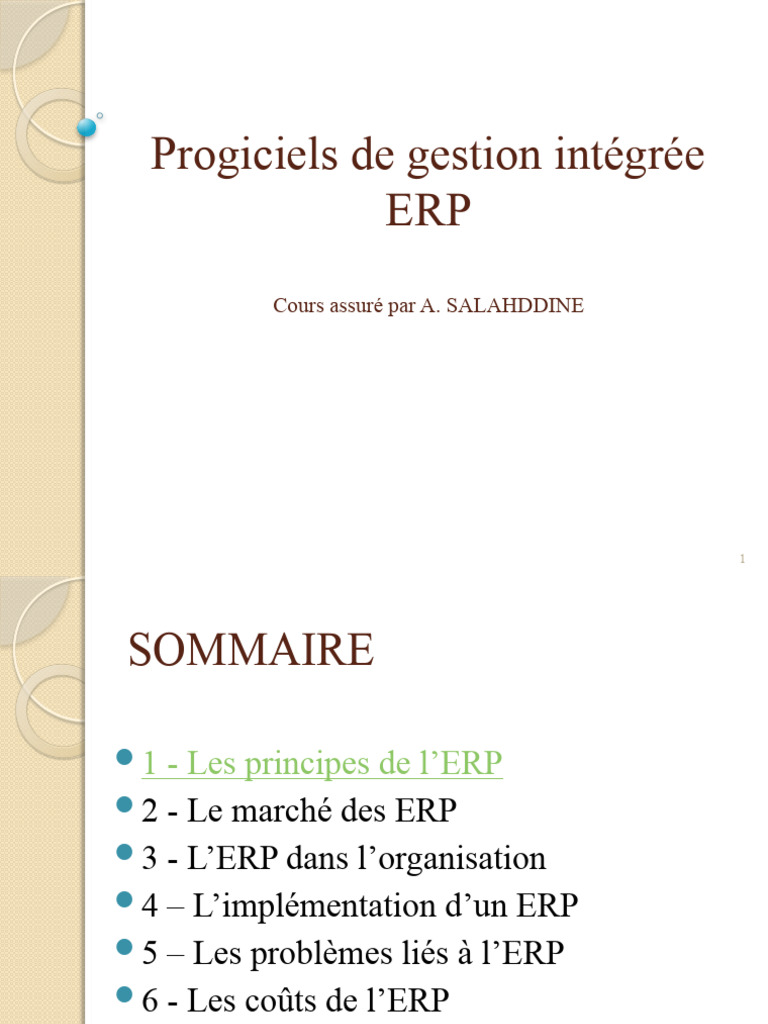 Introduction aux Progiciels de Gestion Intégrée | PDF | Progiciel de gestion intégré | Informatique