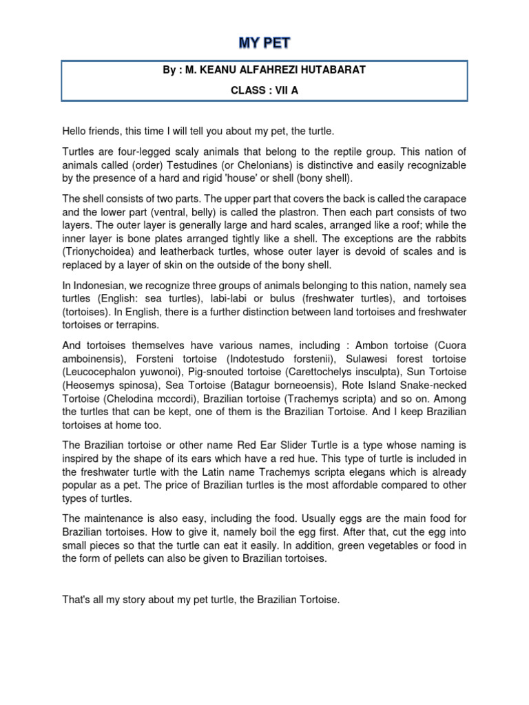 My Pet | PDF | Turtle | Herpetology