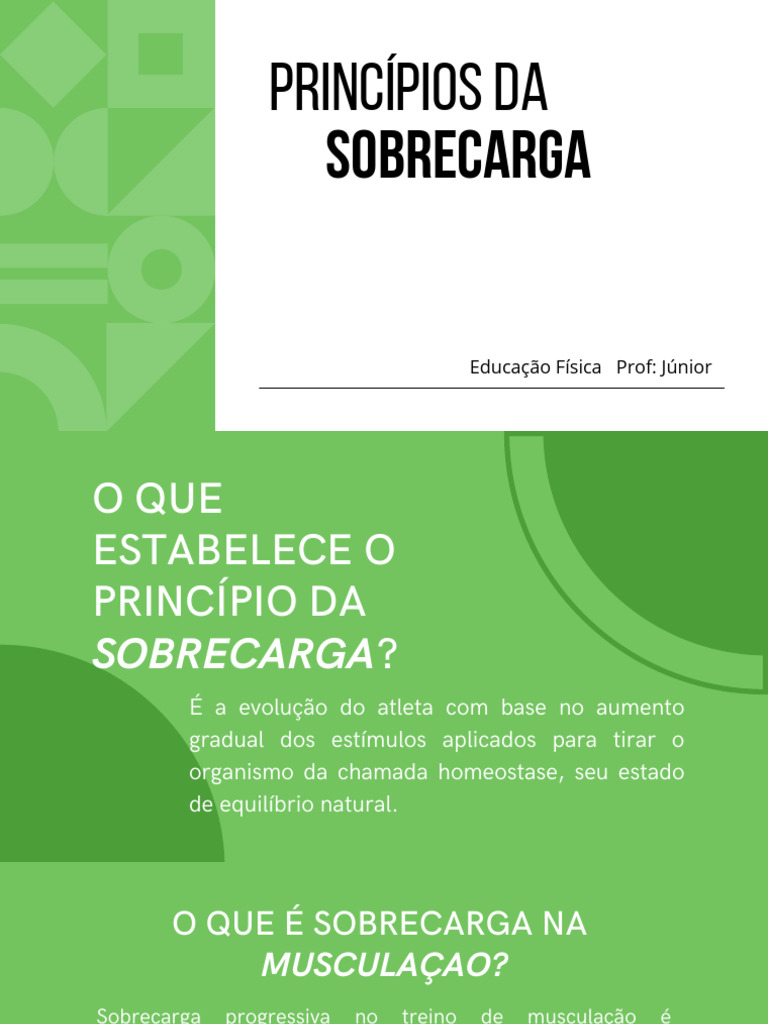 Princípio Da Sobrecarga - 20230810 - 155906 - 0000 | PDF