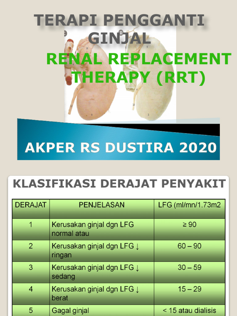 Terapi Pengganti Ginjal: Renal Replacement Therapy (RRT) | PDF