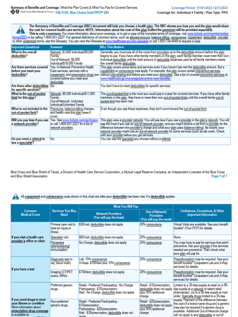Blue Choice Gold PPO 204 Benefits Summary | PDF