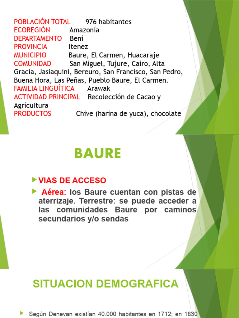 BAURE | PDF