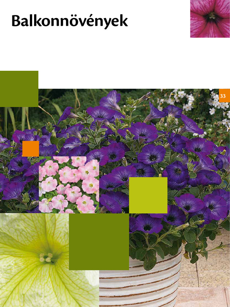 SYN p33 90 Cuttings HU | PDF