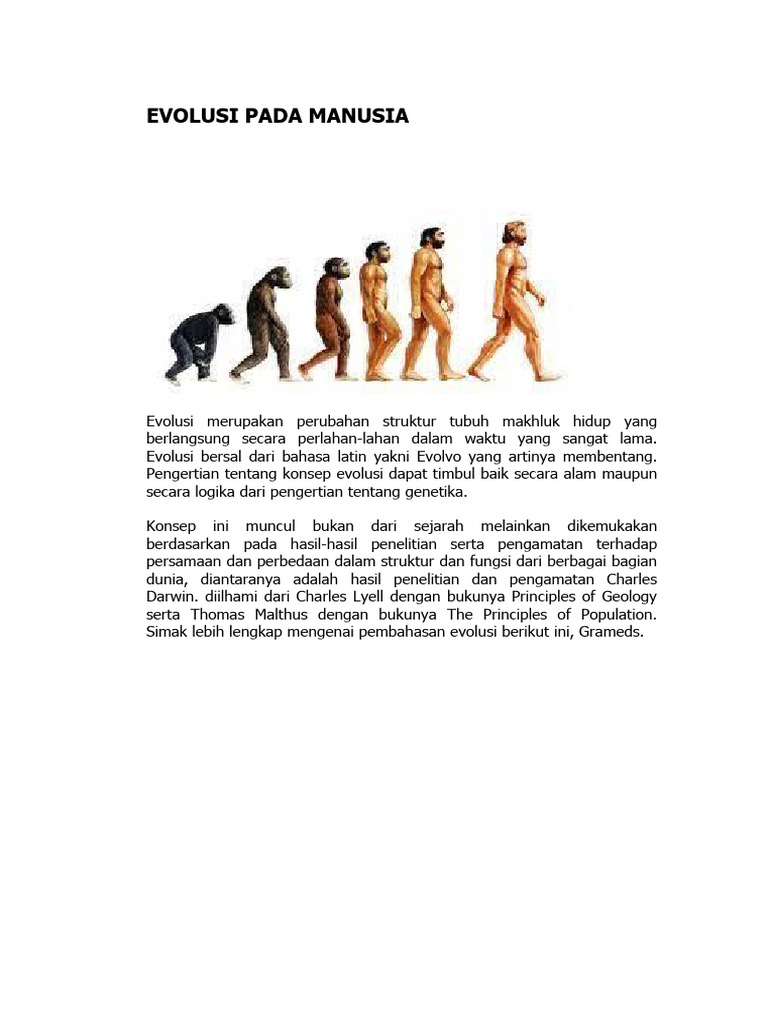 Pengertian Evolusi pada Manusia | PDF