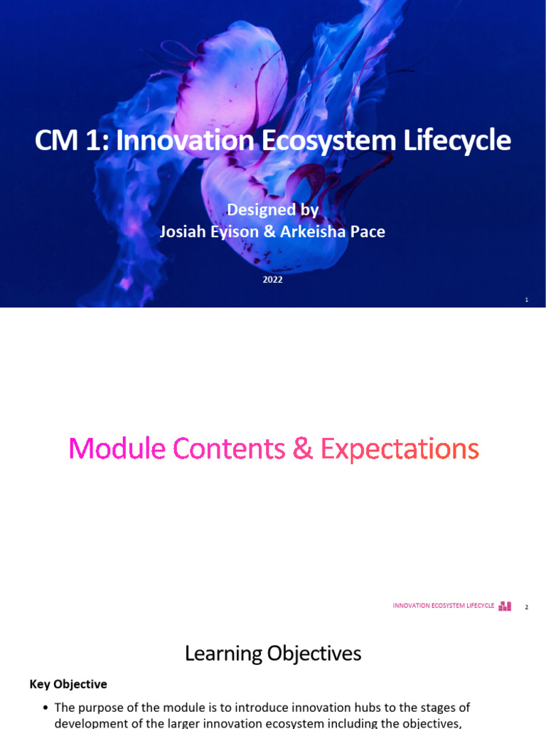 Innovation Ecosystem Modules - AfriLabs For Upload | PDF