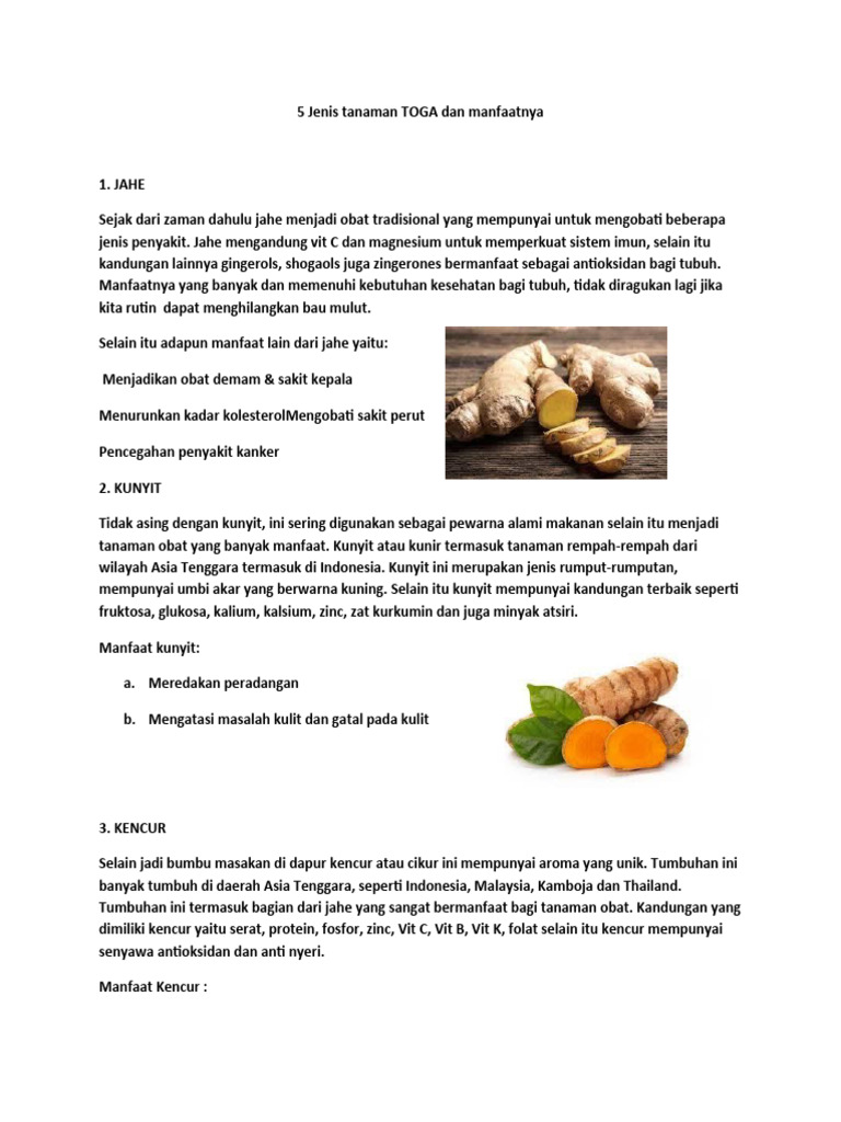 5 Jenis Tanaman TOGA | PDF