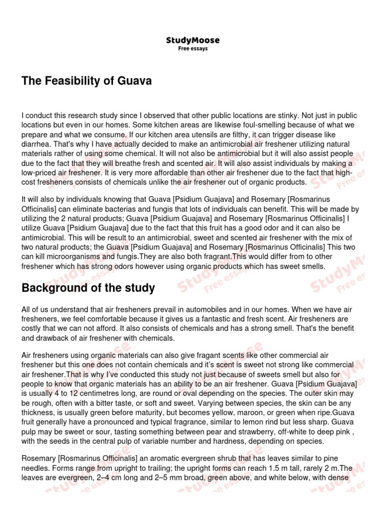 The Feasibility of Guava | PDF | Rosemary | Orange (Fruit)