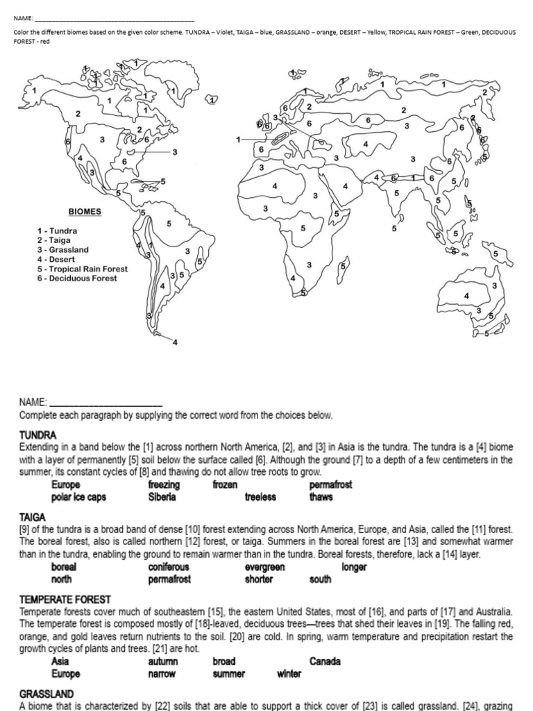 Activity Biomes | PDF | Grassland | Forests
