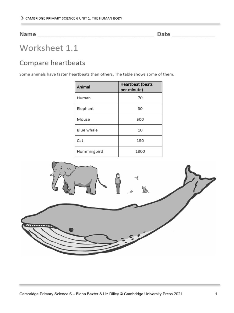 P - Science - 6 - Worksheets - Unit 1 | PDF