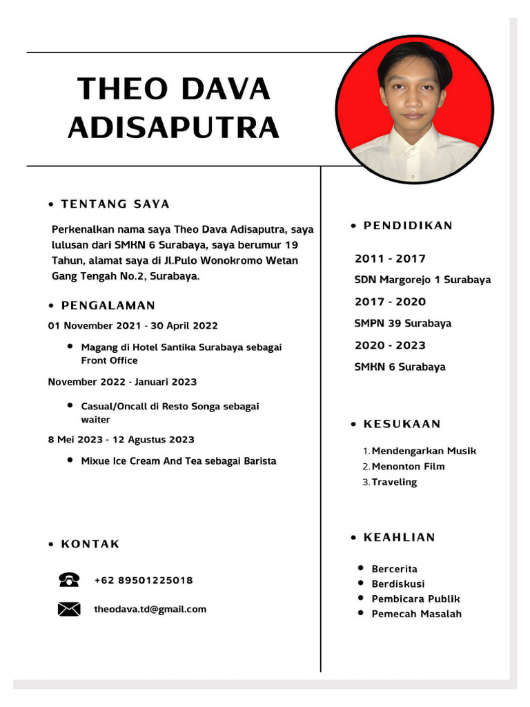 CV - Theo Dava Adisaputra 2 | PDF
