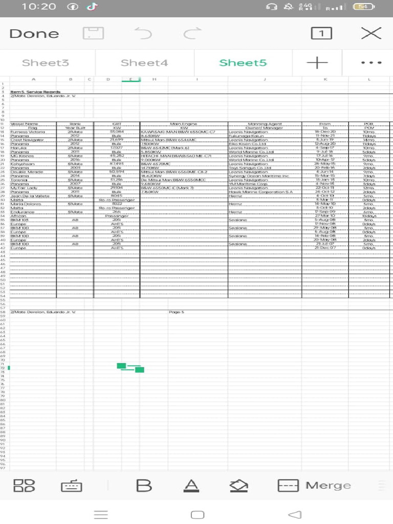 Document WPS Office | PDF