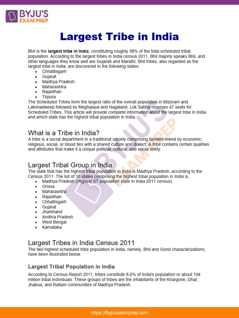 Bhil: India's Largest Tribe Overview | PDF