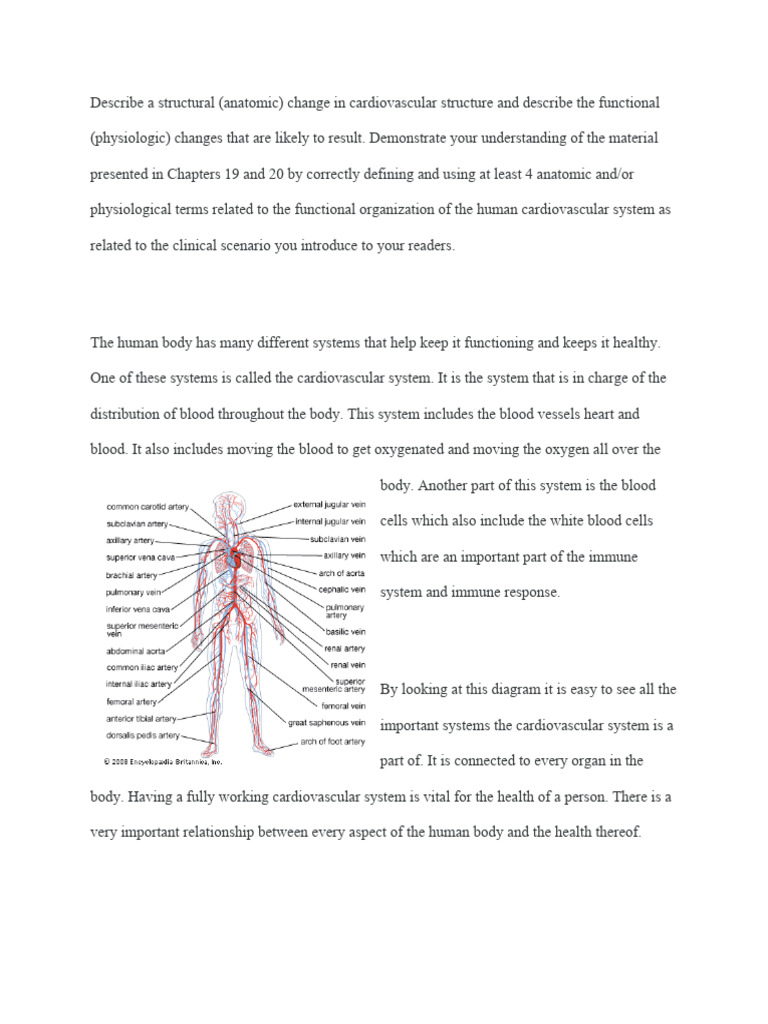 Assignment Unit 5 | PDF Assignment Unit 5 | PDF