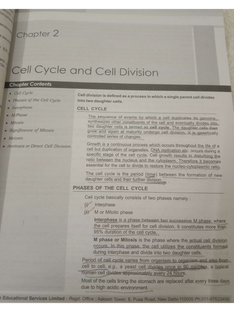 Bio Cell Cycle and Division # (Aakash) | PDF