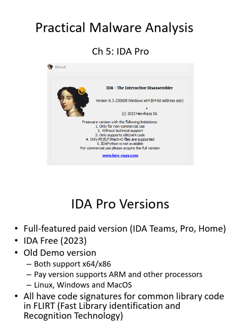 IDA Pro Overview for Malware Analysis | PDF