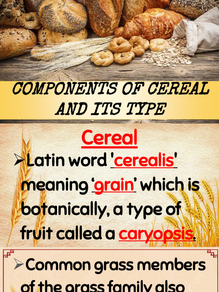 Components Types and Nutritiative Value of Cereals | PDF | Cereals | Whole Grain