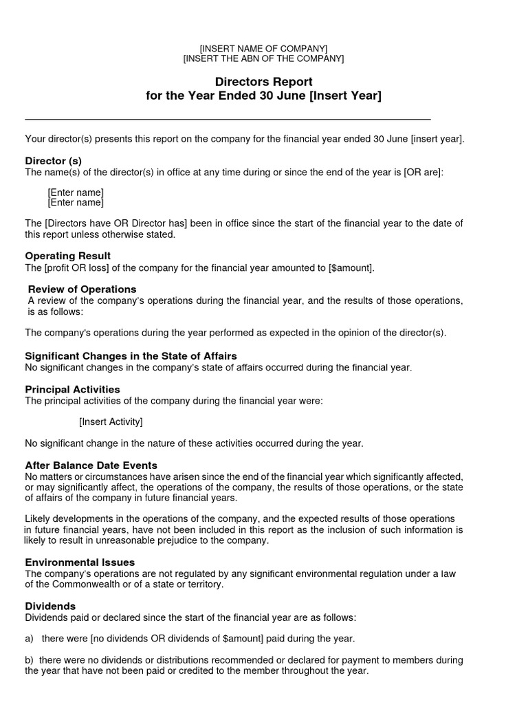 Sample Director Report | PDF