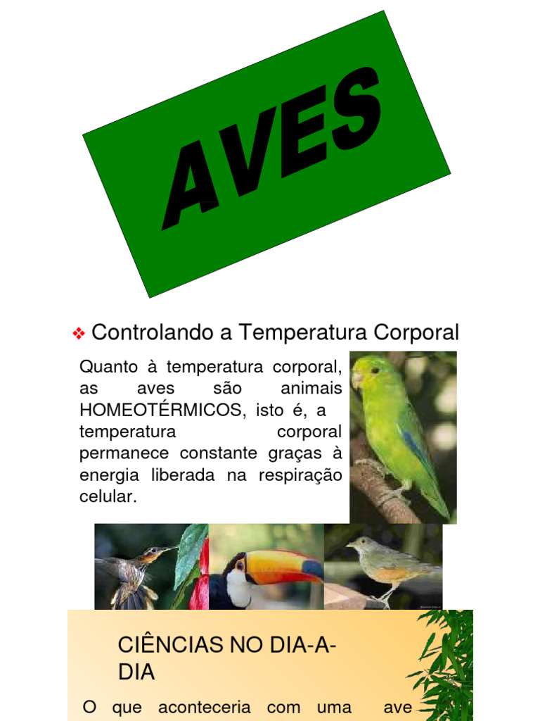 Aves | PDF