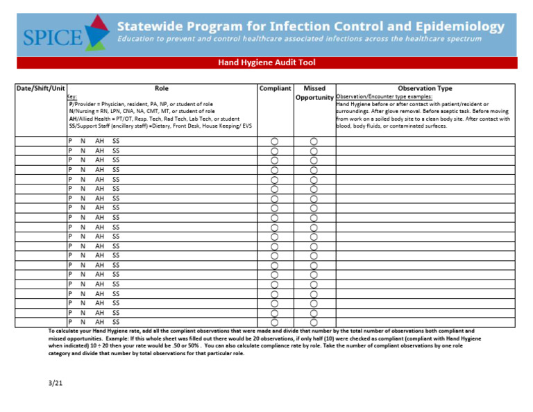 Hand Hygiene Audit Tool Template | PDF | Clinical Medicine | Medical ...