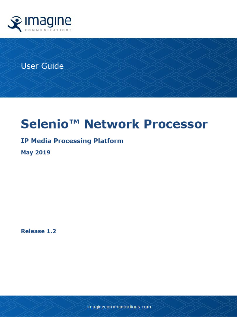 Selenio™ Network Processor Manager | Download Free PDF | Computer Science | Information And ...