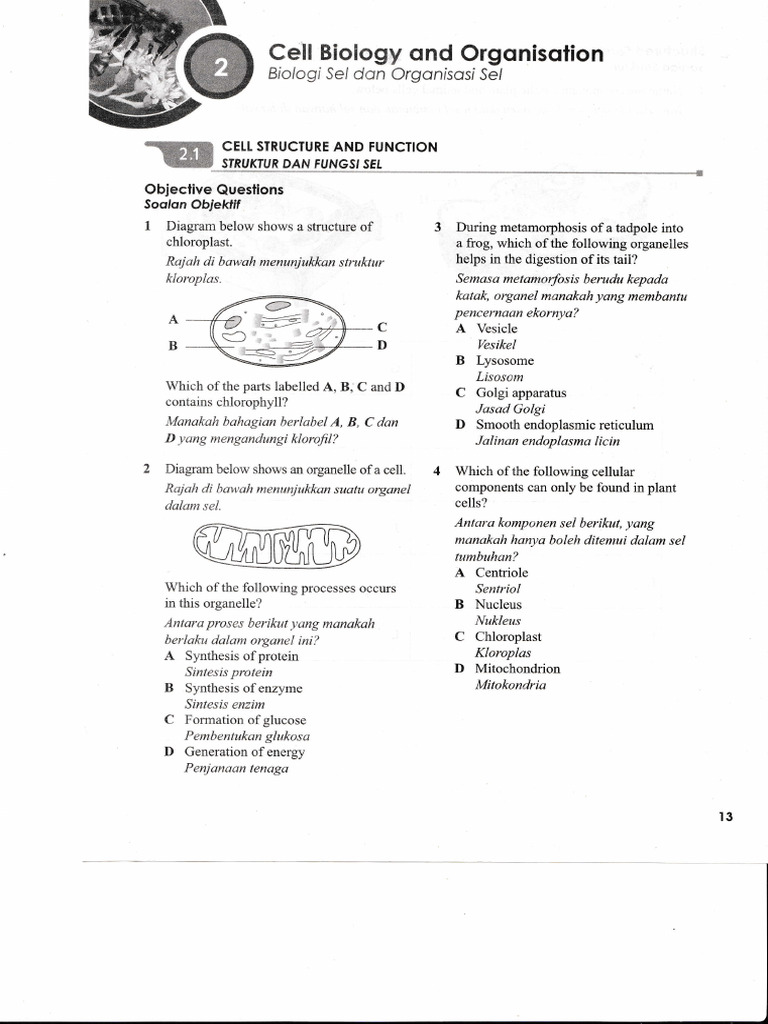 Form 4 Bio Chapter 2 | PDF