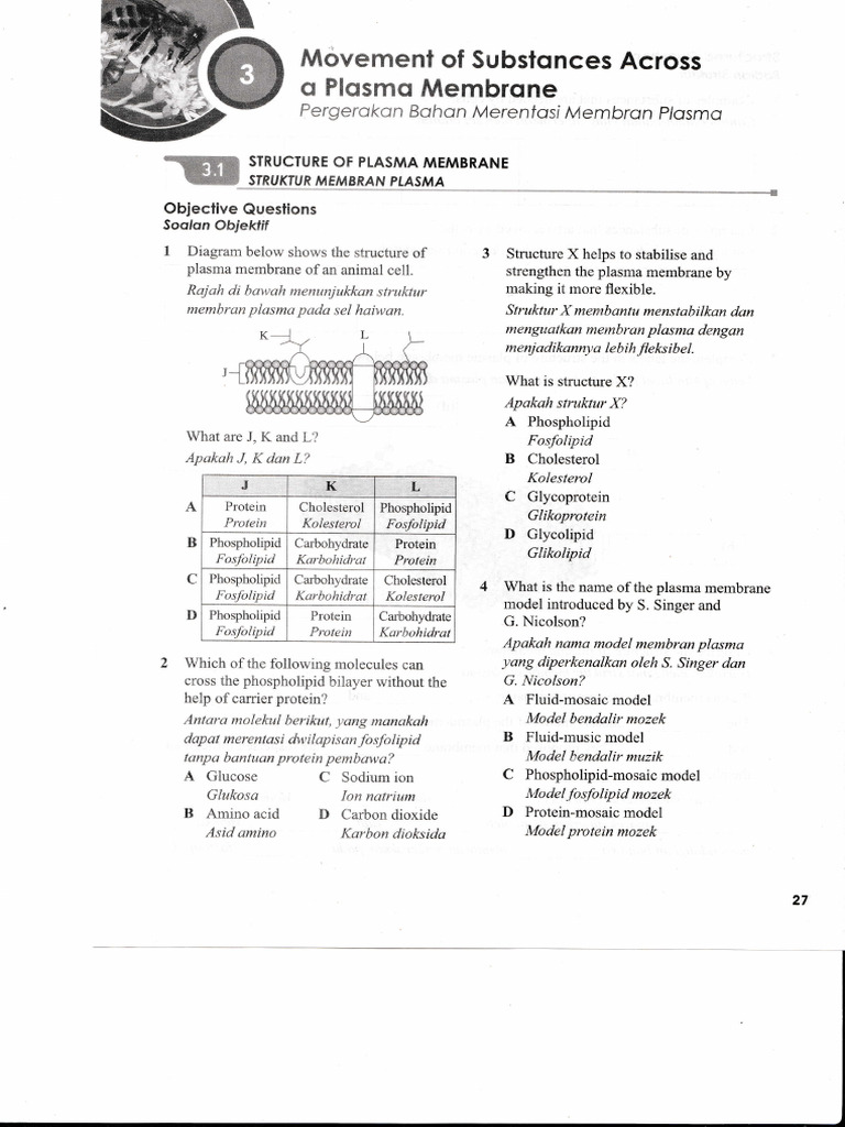 Form 4 Bio Chapter 3 | PDF