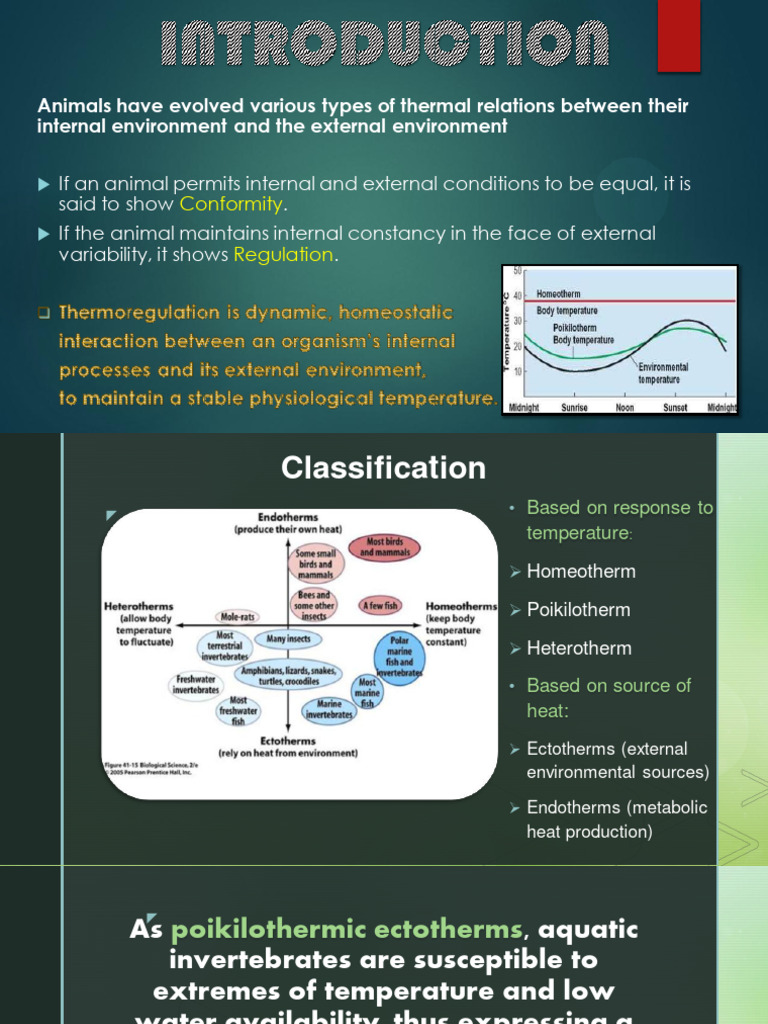 Thermoregulation Assignment (1-35) | PDF | Biology
