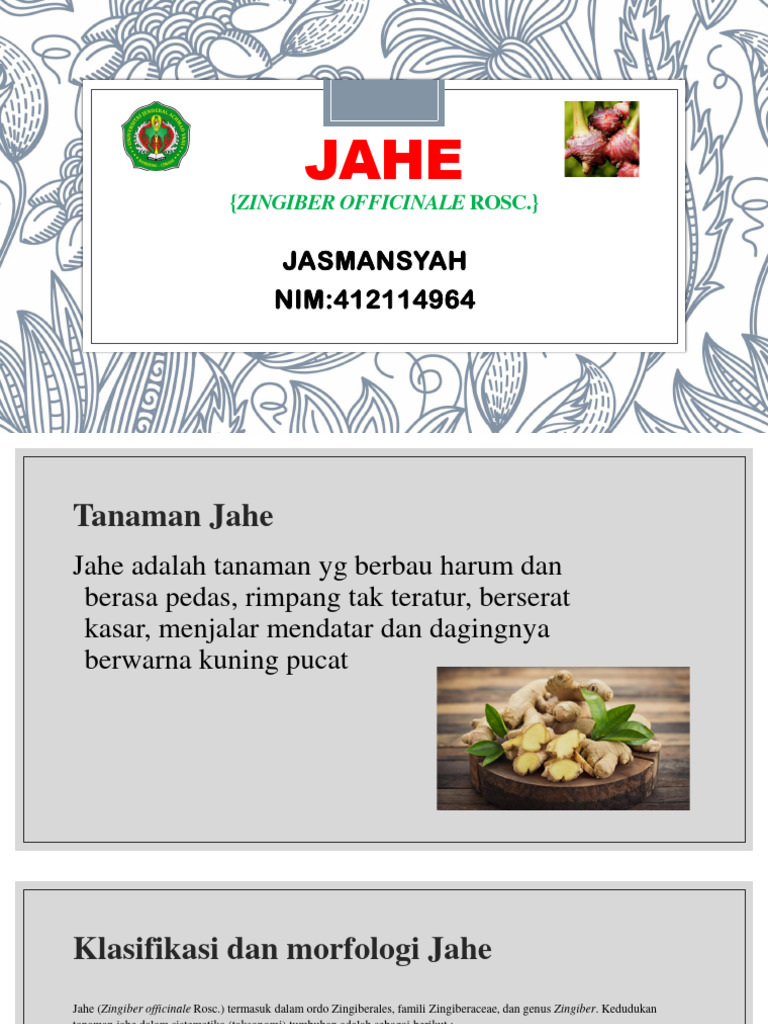 Jahe | PDF