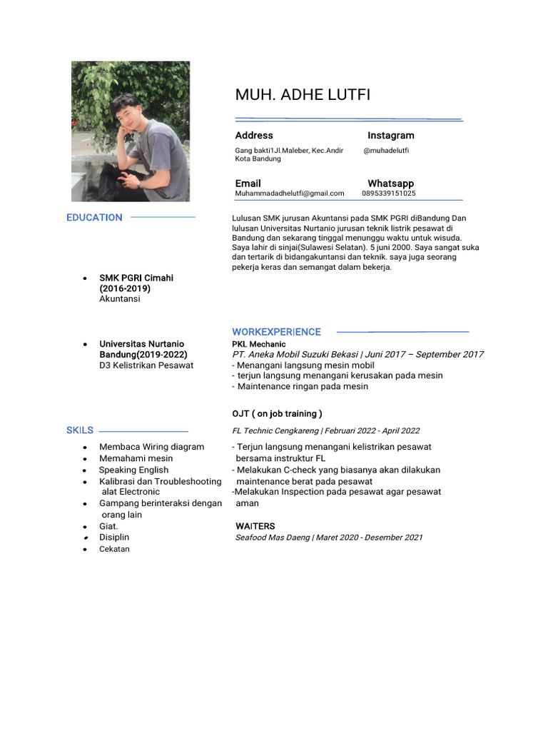 Profil Profesional Adhe Lutfi | PDF