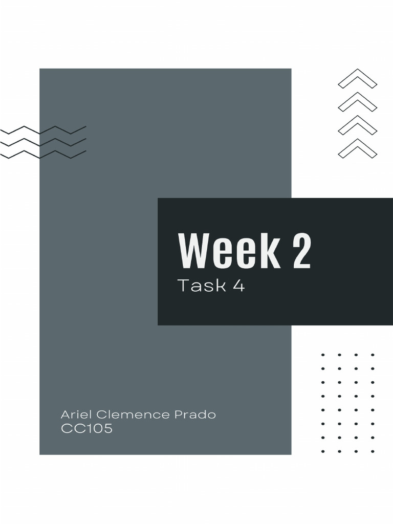 Task2 Prado CC105 | PDF