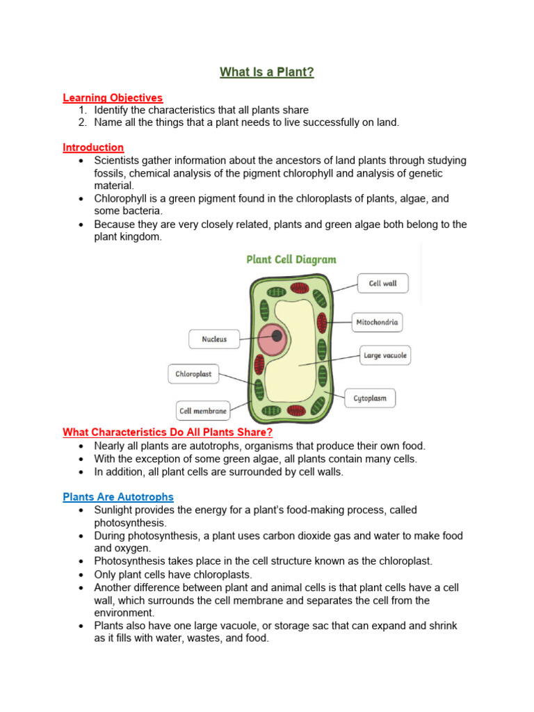 What Is A Plant - GR 7 Lesson Notes | PDF