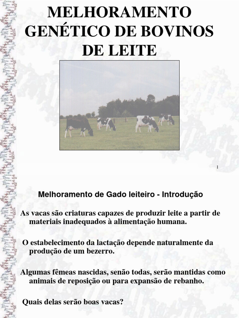Melhoramento Genético Bovino Leiteiro | PDF | Gado | Leite