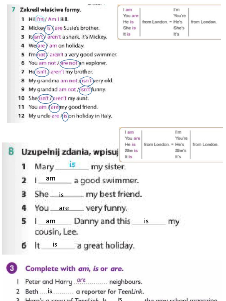 Lesson 4 Present Simple To Be | PDF