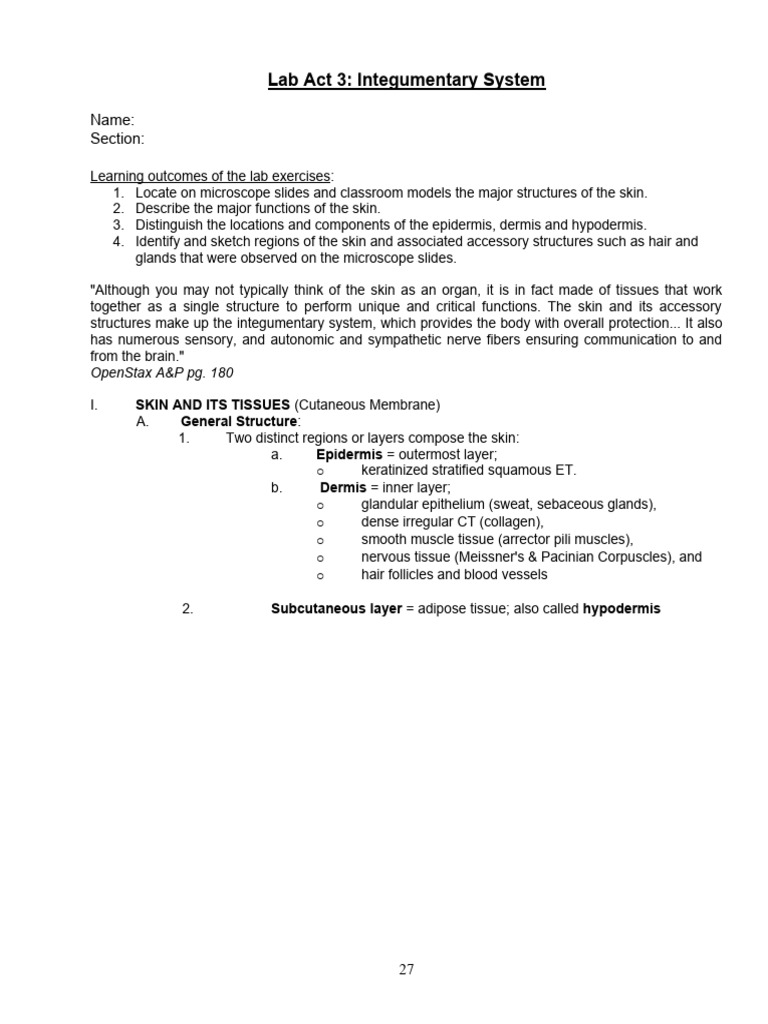 Lab Act 3 - Integumentary Systemdocx | PDF | Skin | Integumentary System
