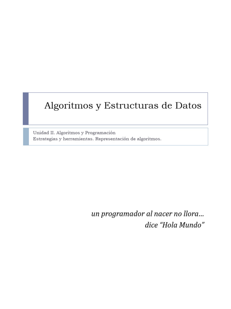 C1b RepresentacionAlgoritmos | PDF