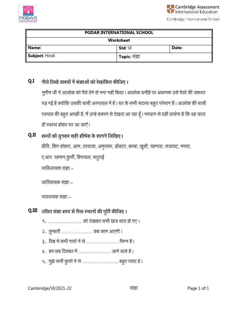 WS CAIE VI Hindi Sangya | PDF