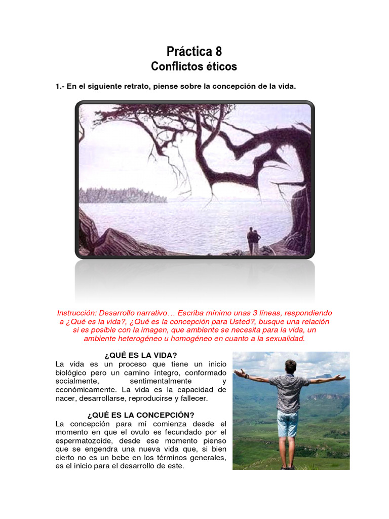 PRÁCTICA N° 8 (1) | PDF | Aborto