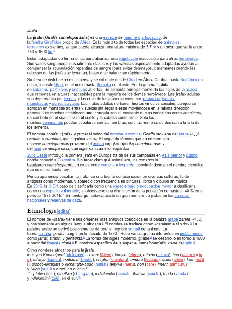 Jirafa Pdf