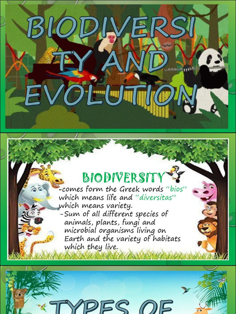 Biodiversity and Evolution | PDF