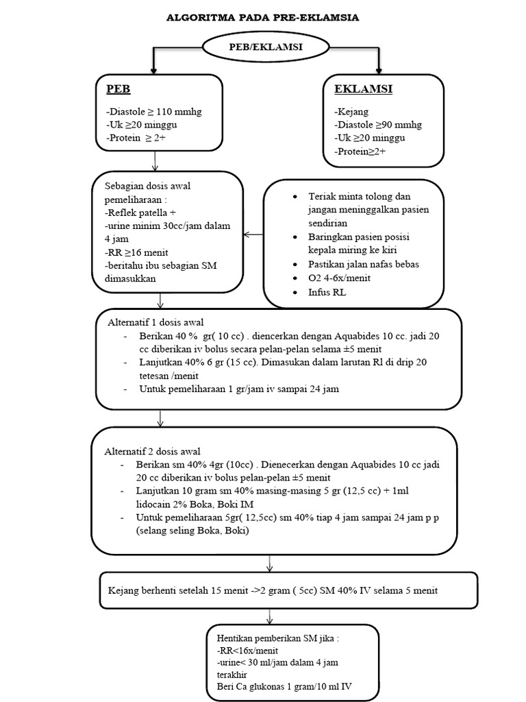 Algoritme Pre Eklamsia | PDF