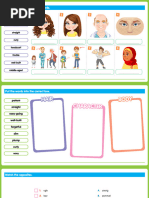 Physical Description Vocabulary and Explanation | PDF