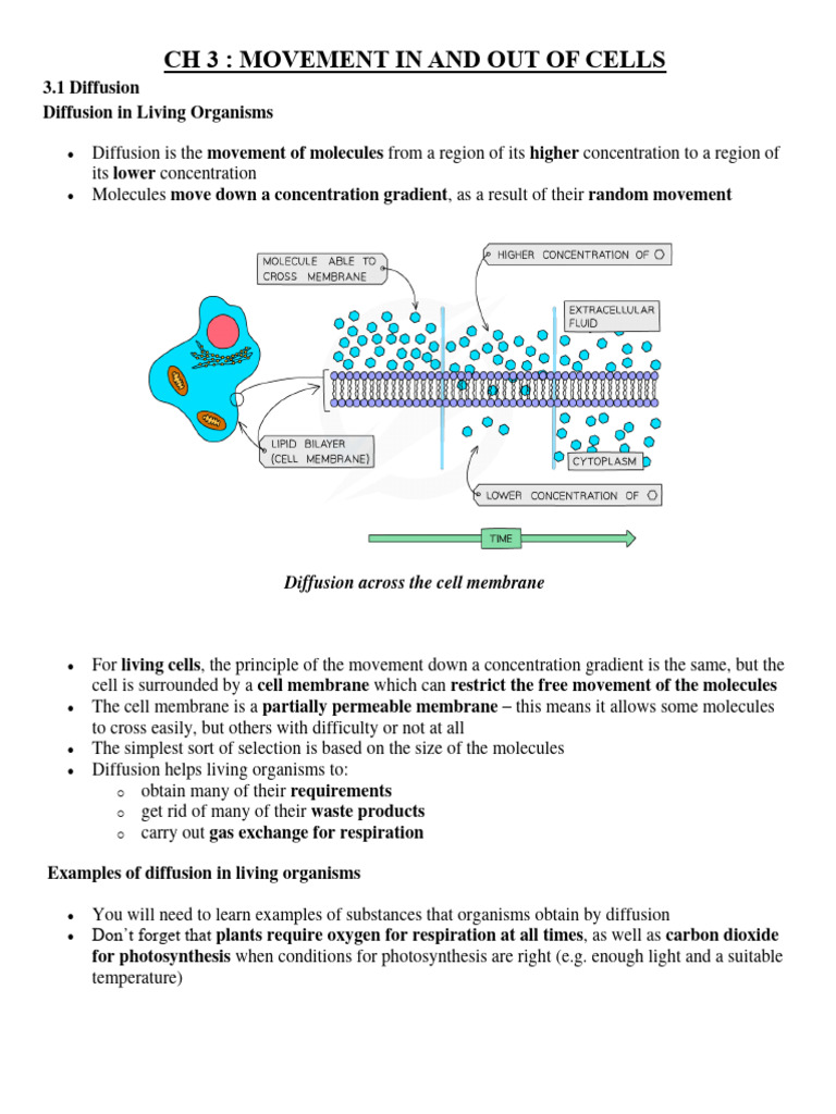 Movement in and Out of Cells | PDF