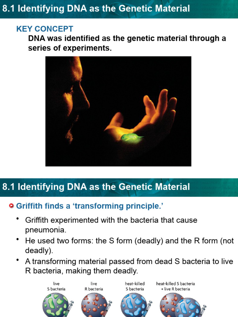 Unit8 Dnareplicationandtranscription | PDF | Dna | Rna