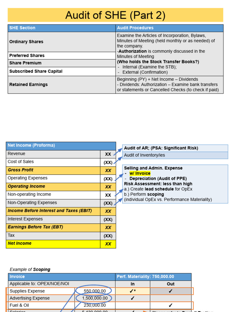 Audit of SHE (Part 2) | PDF | Net Income | Expense