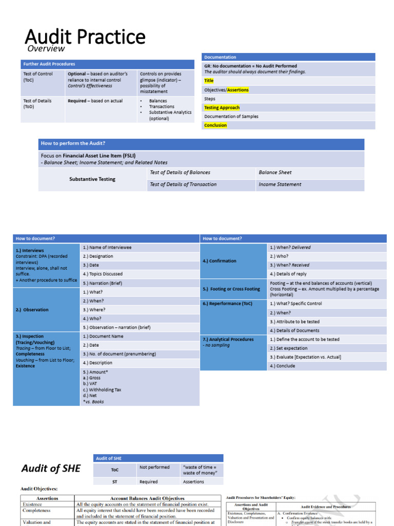Audit Practice Overview and SHE | PDF