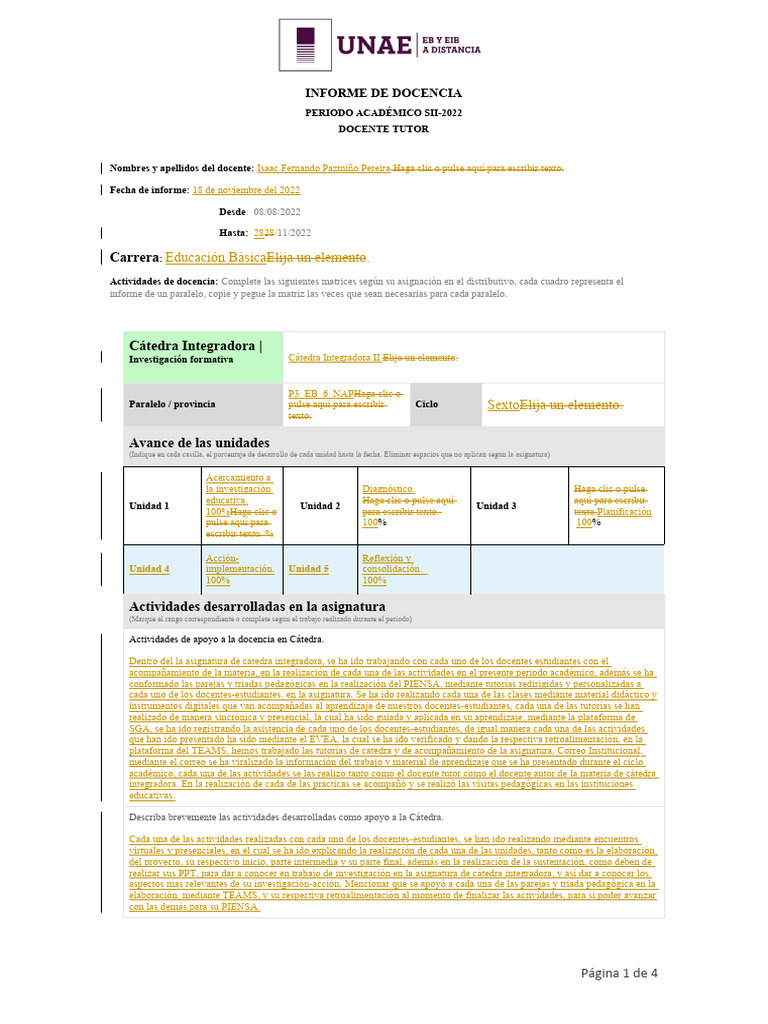 Informe De Docente Tutores SII 2022 Ip PDF Investigaci n Para La