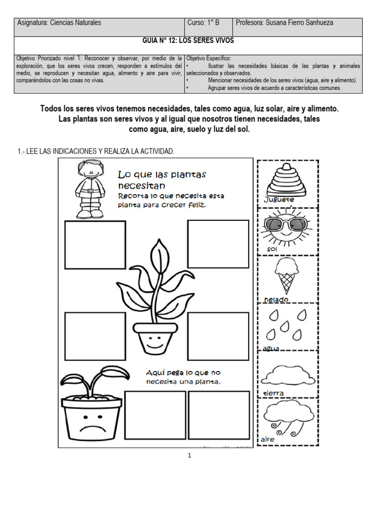 Guia 12 Ciencias 1°b | PDF